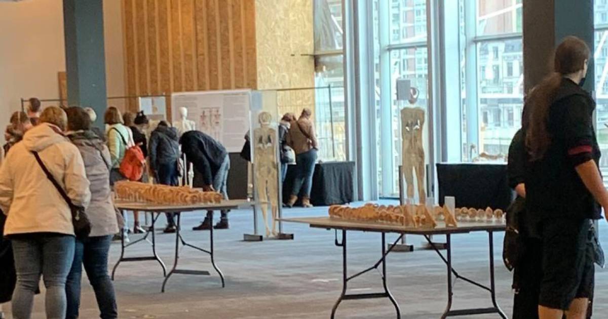 Exposition Human Bodies: le Palais des Congrès de Mons prend ses ...