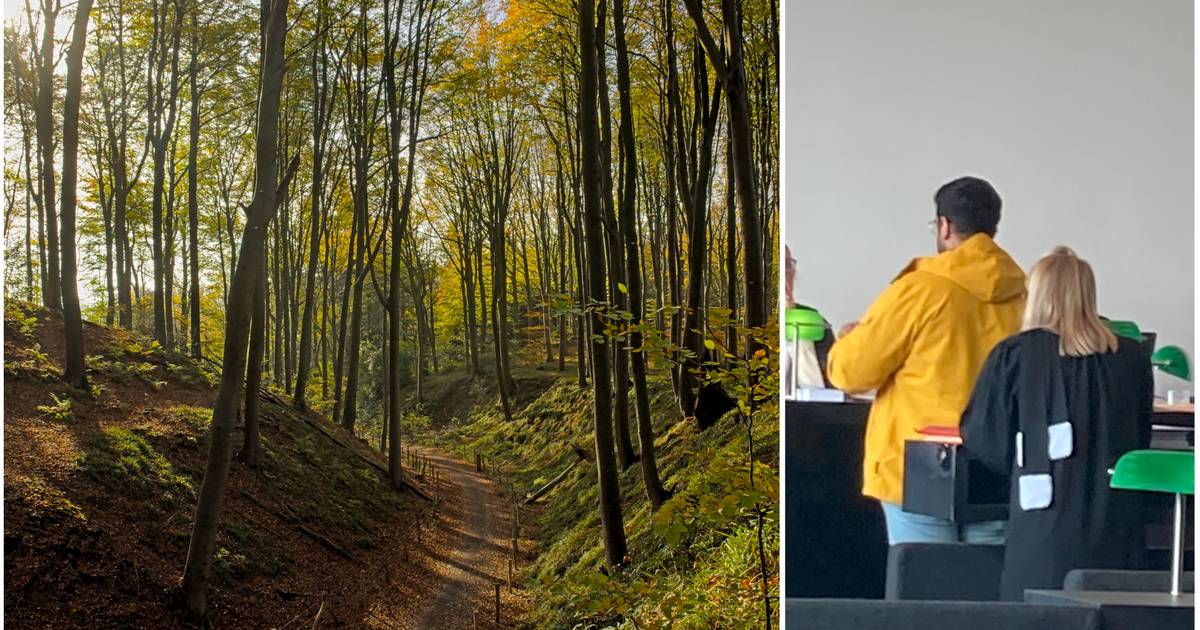 30 maanden cel om man geboeid en naakt achter te laten in bos wegens ...