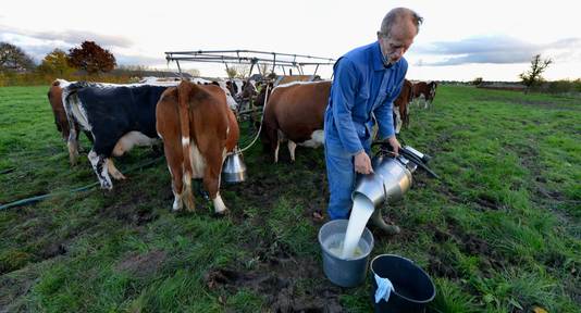 Boeren op de ouderwetse manier - boer Kees doet het | Rivierenland ...