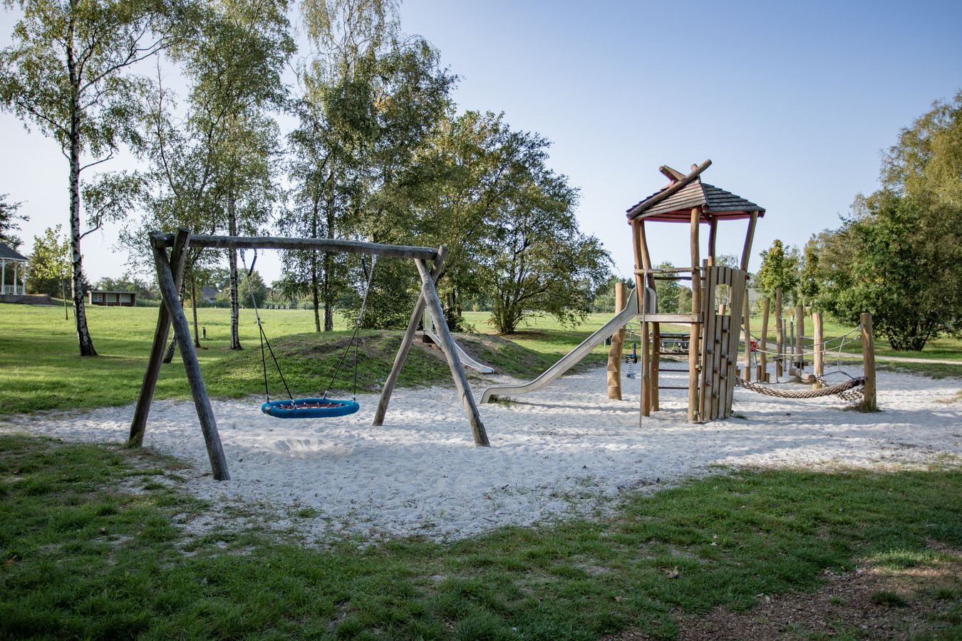 Park De Kiosk wordt nog groener dankzij 300 nieuwe bomen | Foto | hln.be
