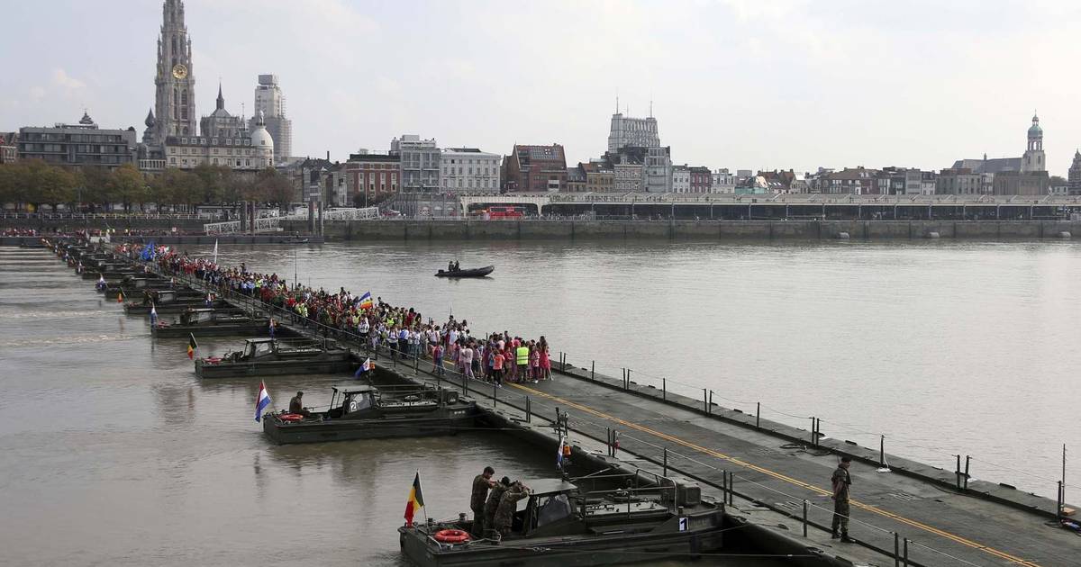 "Nu is pontonbrug veel steviger dan toen" | Antwerpen | hln.be
