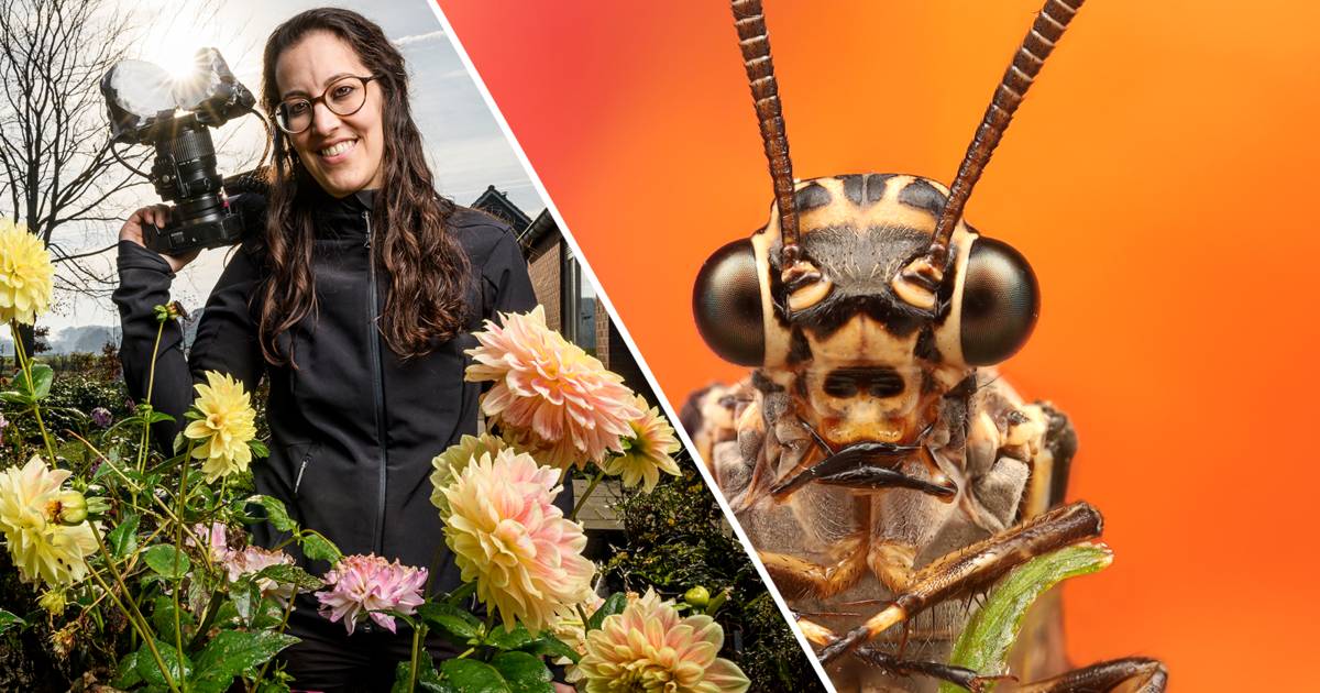 Marit van Ekelenburg heeft 760.000 volgers op Instagram: ‘Dit had ik echt nooit verwacht ...