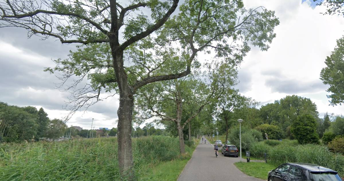 Gerrit (80) uit Amstelveen vermist, politie zoekt in grensgebied ...