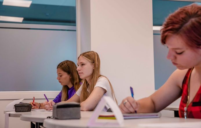 Opfrissingscursussen helpen studenten optimaal beginnen | Hasselt | hln.be