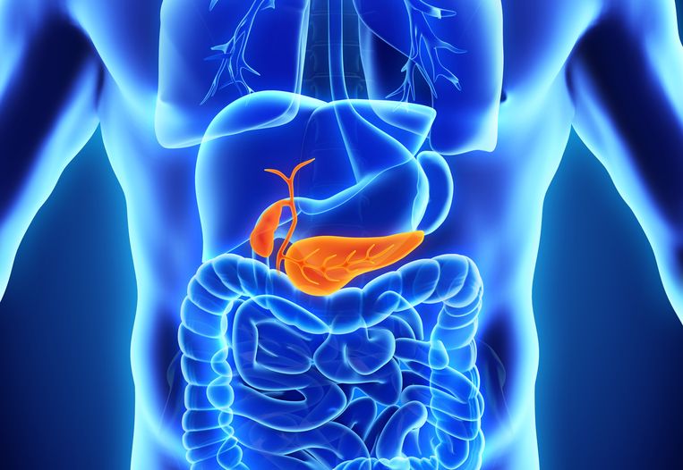 Patiënten met alvleesklierkanker overleven vaker dankzij Nederlandse app