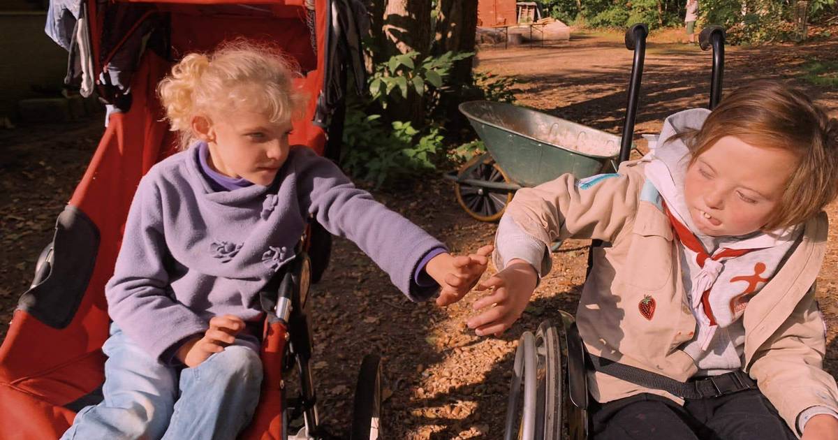 Scouts Akabe Sint-Johan viert 60-jarig jubileum met groot feest: “Samen ...