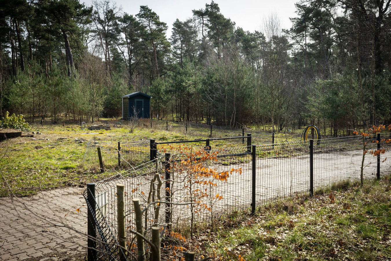 Losser zit eigenaar Ben Westerik van camping De Kunne in De Lutte dwars ...