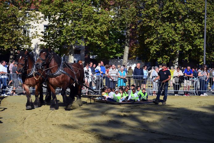 Beestenmarkt blijft traditie op 70ste Jaarmarkt | Leuven | hln.be