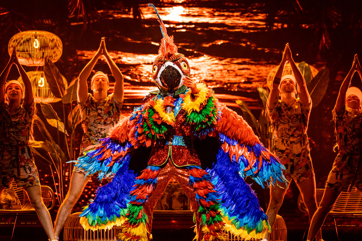 Vertrouwen is goed, controle is beter: hoe ‘The Masked Singer’ het ...