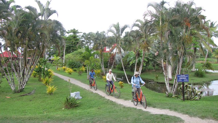 Reizen: ook in Suriname groeit het toerisme, en dat heeft ook zijn ...