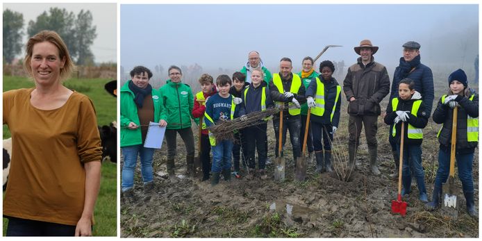 IVVO plant 3.000 bomen aan in het Fruitstickerbos, maar dochter ...