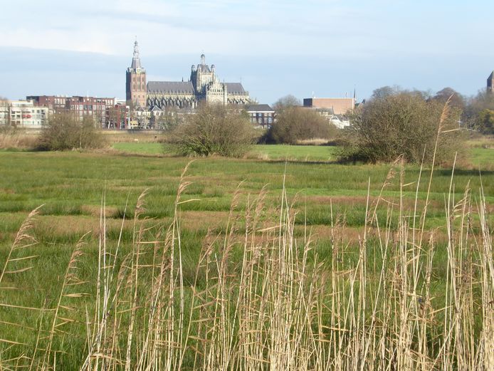 Het Bossche Broek is aantal keren voor poorten van de hel weg gesleept ...