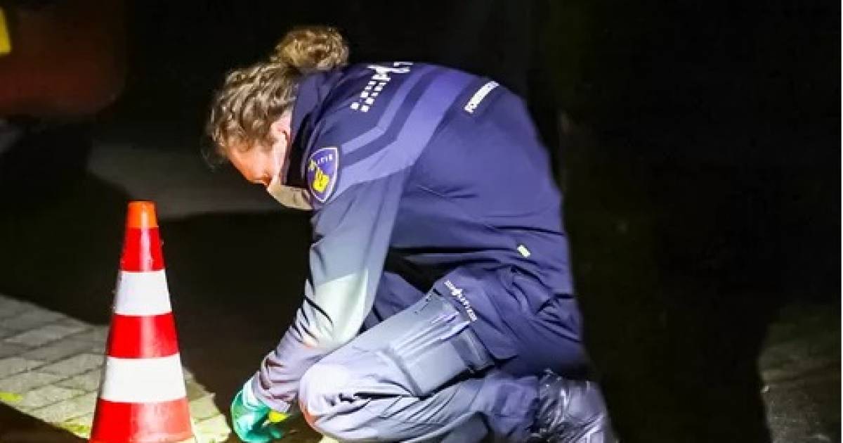 Grote politiemacht valt woning binnen na schietpartij Apeldoorn: 54-jarige man opgepakt ...