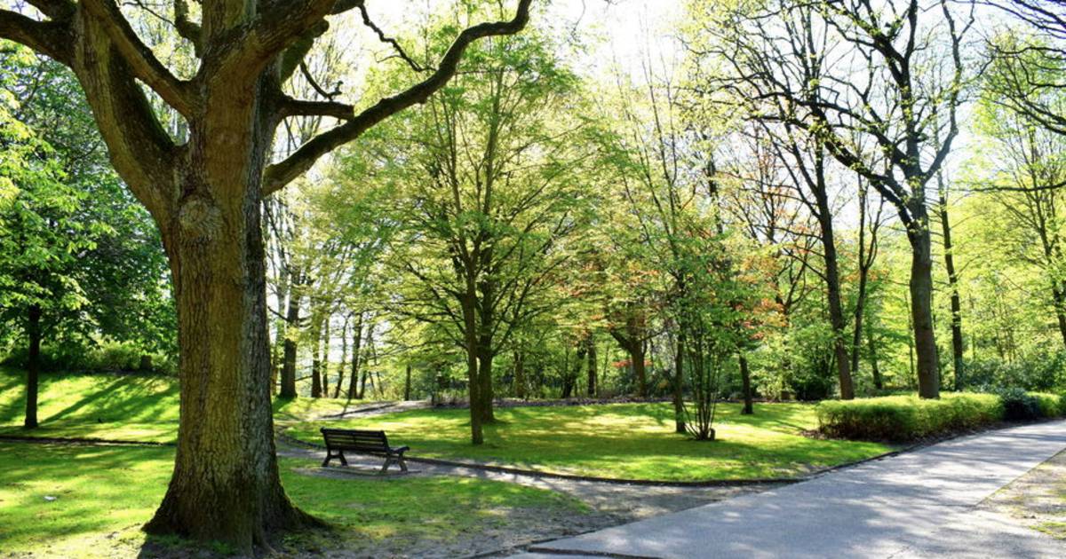 District plant terrein voor ‘urban sports’ in Fort van Merksem ...