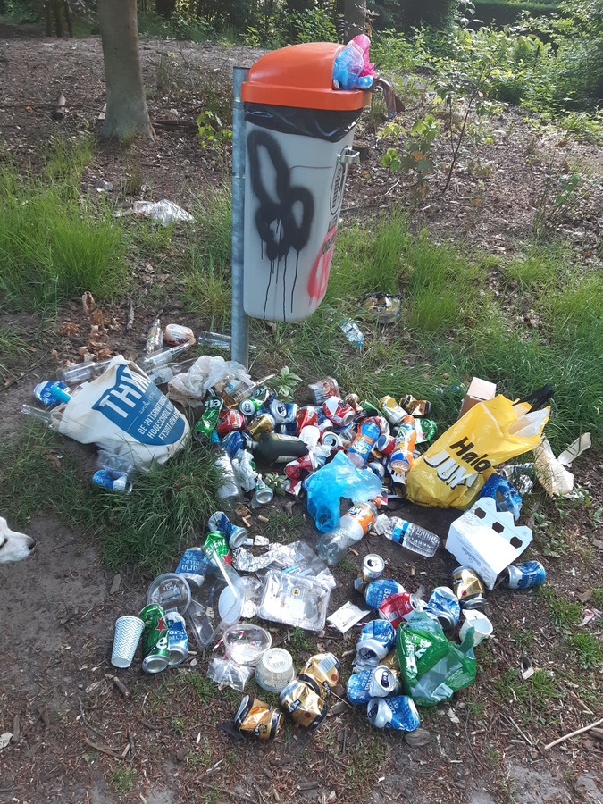 Zwerfafval in Brabant: van bankstellen in het bos tot uitpuilende ...