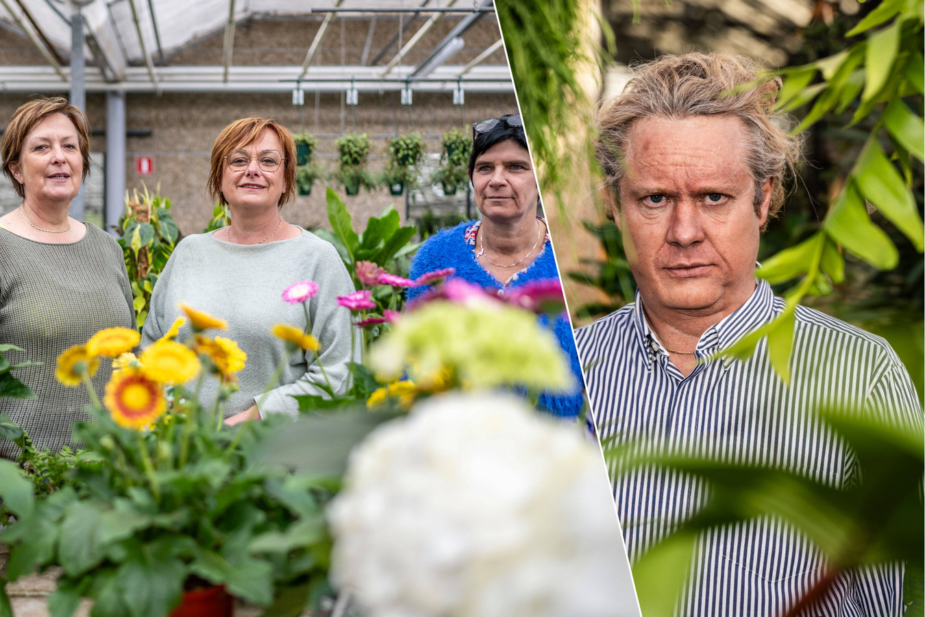 Fan van ‘Nonkels’? Deze drie tuincentra uit het Waasland schitteren in ...