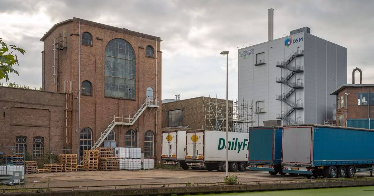 Bekende gistfabriek van DSM in Delft gaat dicht, 150 werknemers komen ...