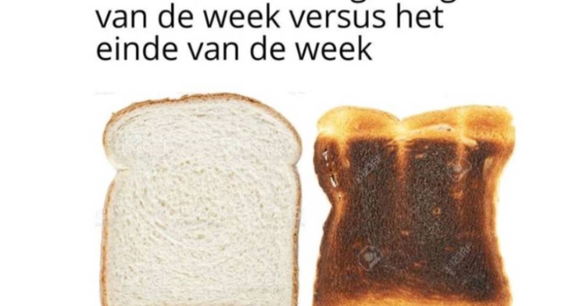 Dat het warme weer ook heel wat hilarische memes met zich meebrengt ...