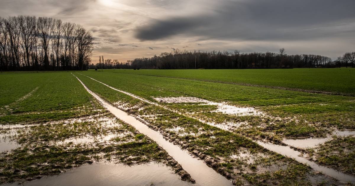 WEERBERICHT. Wind en buien blijven boventoon voeren, in Hoge Ardennen ...