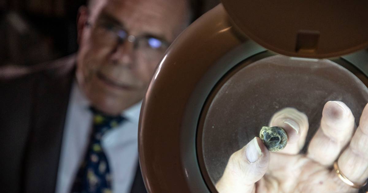 In zijn museum Natura Docet in Denekamp werd verlegen Eric Mulder (66 ...