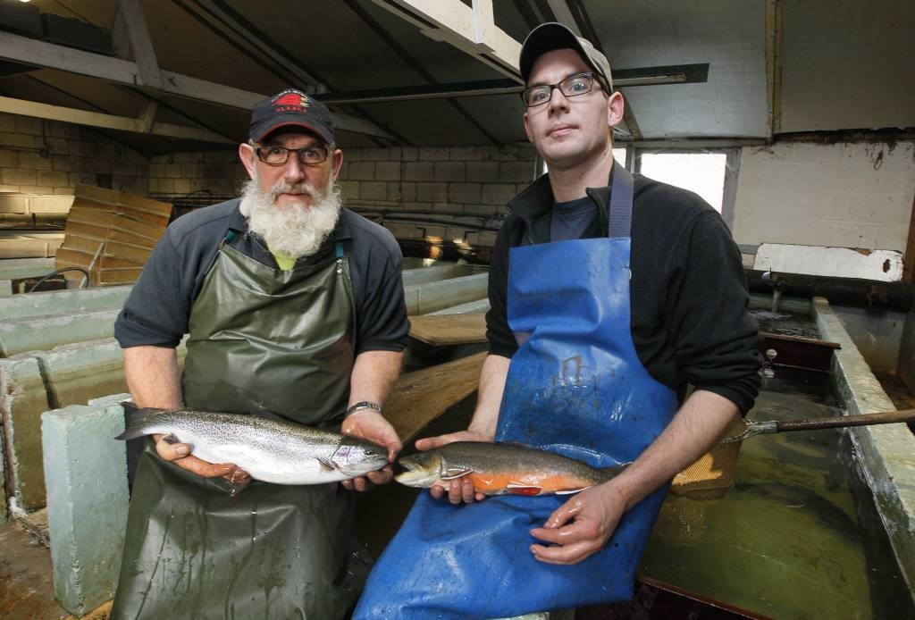 Een romige forel voor de liefhebber | Foto | destentor.nl