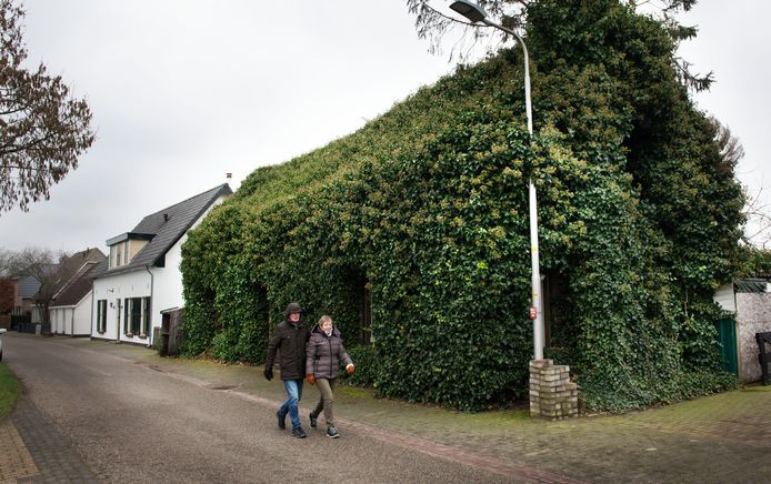 Isolatie? Bij dit huis zit het aan de buitenkant: “Als ik de ramen ga ...