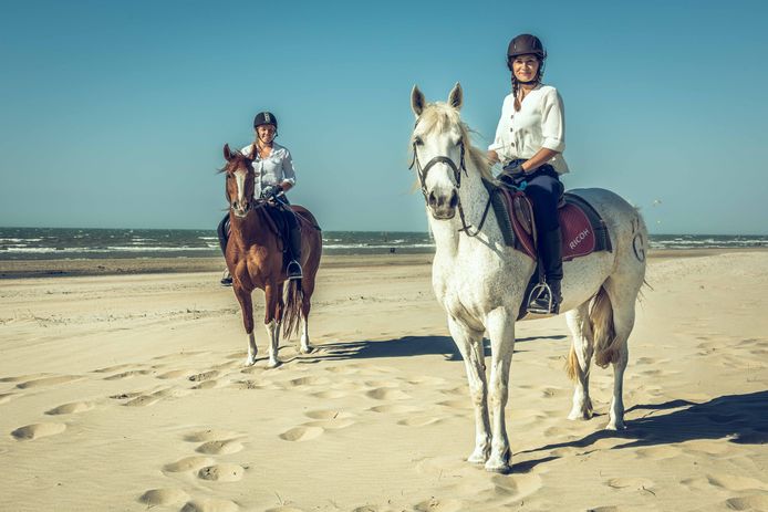 Lies Vandenberghe en Griet Vanhees zijn trotse ‘paardenmeisjes’. “Er is ...