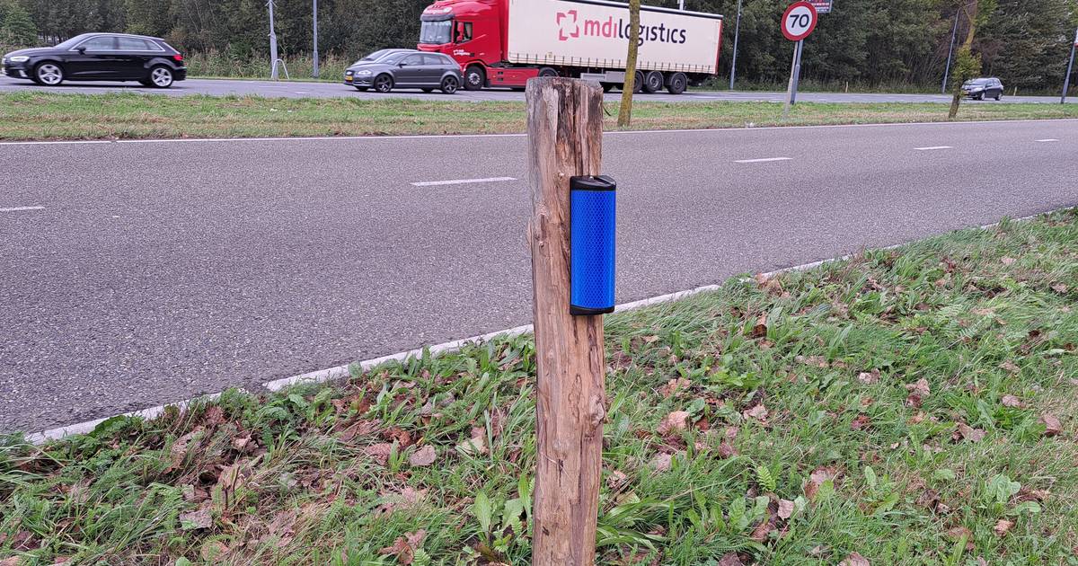 Dit is waarom er ineens paaltjes met blauwe ‘rolletjes’ langs de ...