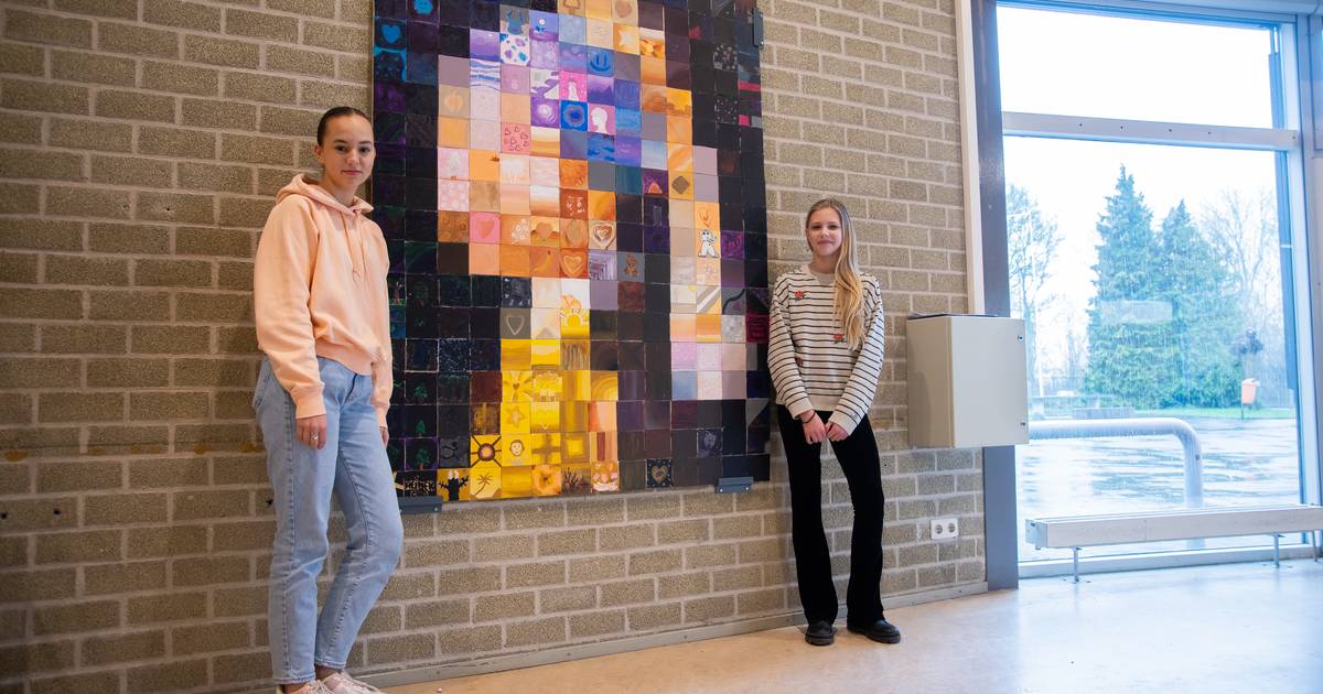 Leerlingen Zwin College schoppen het met Meisje met de parel tot Haags ...