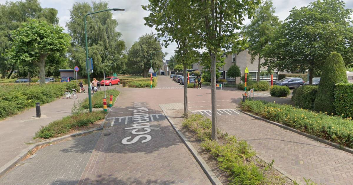 Drie nieuwe zebrapaden bij BS De Bolderik moeten verkeersoverlast bij ...