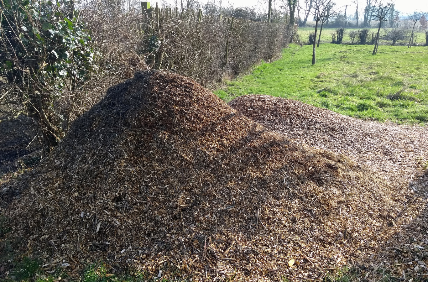 “Breng snoeiafval niet naar het containerpark, je kan het zelf handig ...