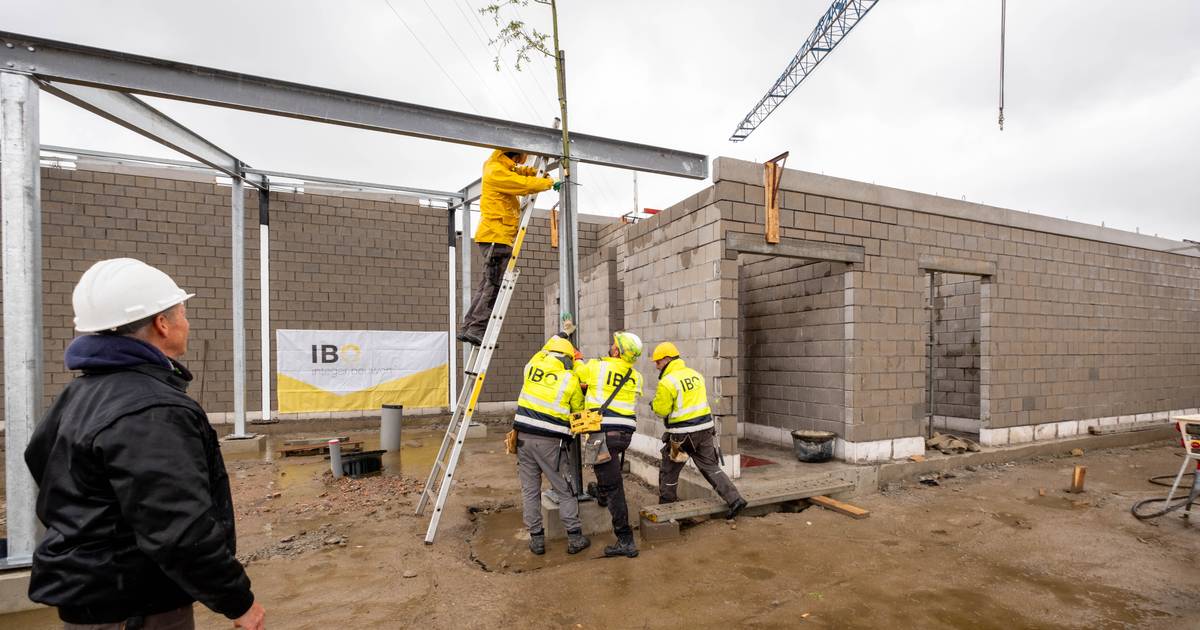 Met planting meiboom gaat sportsite Kouter laatste werffase in ...