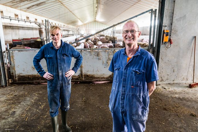 Varkensboer Nico: ‘Als we moeten kiezen tussen uitgekocht worden of ...