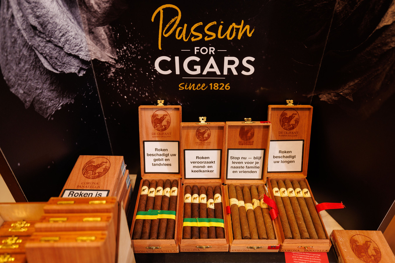 Deze sigarenboer uit Kampen hoopt nieuwe regels te voorkomen: ‘Ooit ...
