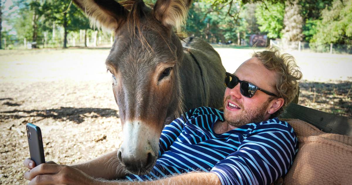 Rik Verheye emotioneel in ‘Het Huis’: "Na 'Callboys' heb ik zitten ...