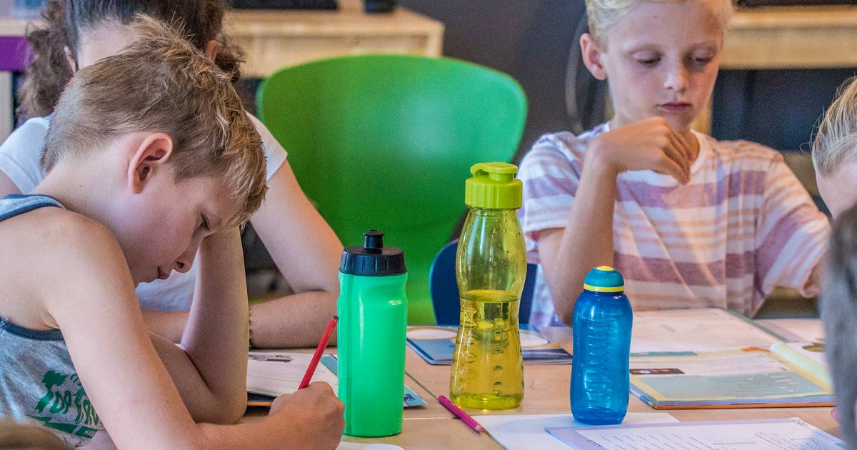 Tropenrooster op middelbare scholen in West-Brabant: ‘Dan kunnen ze wat ...