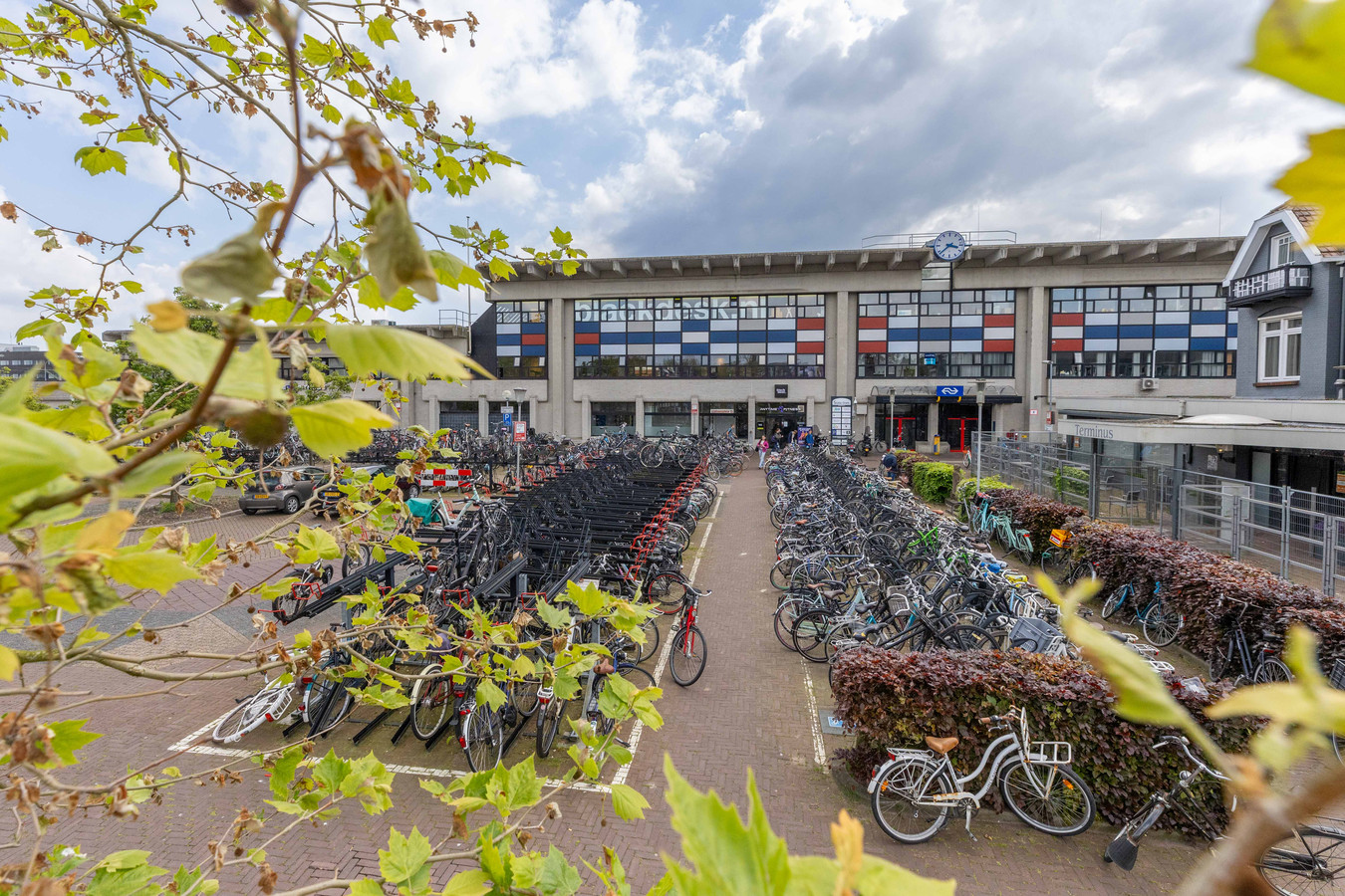 ‘Jager Debby kan ’s ochtends haar vijf Spaniël-puppy’s knuffelen en ...