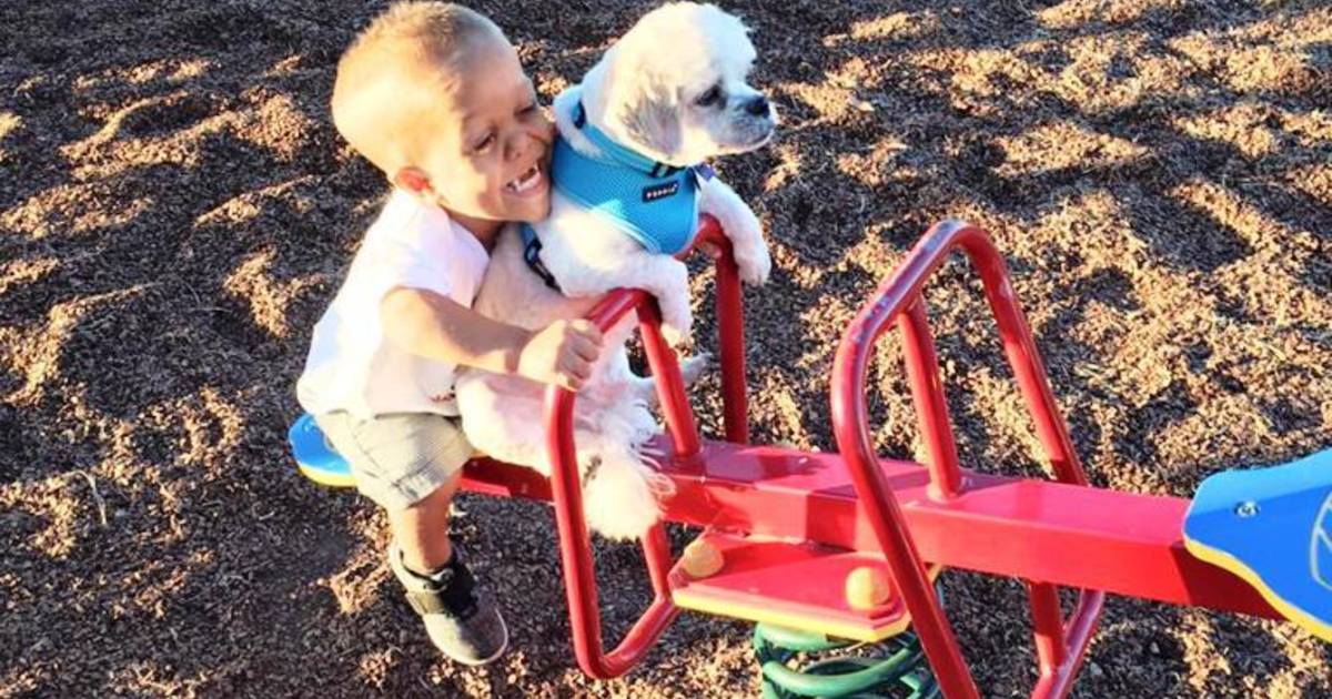 Jongetje met dwerggroei en zijn hondje laten uw hart smelten | Bizar ...