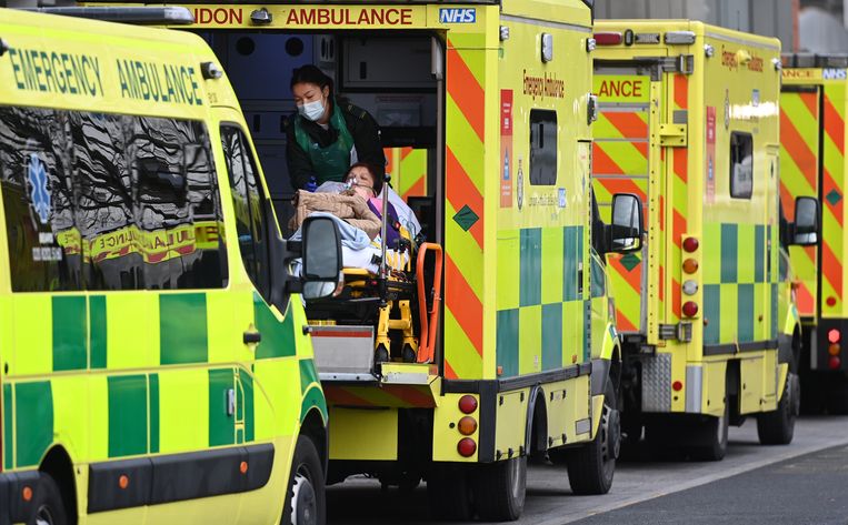 Live: Britse coronavariant bij vijftig mensen in Nederland vastgesteld • Aruba neemt extra ...