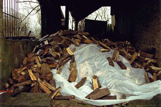 Didier Bertin acquitté du meurtre d'Aline Jacquier | Belgique | 7sur7.be