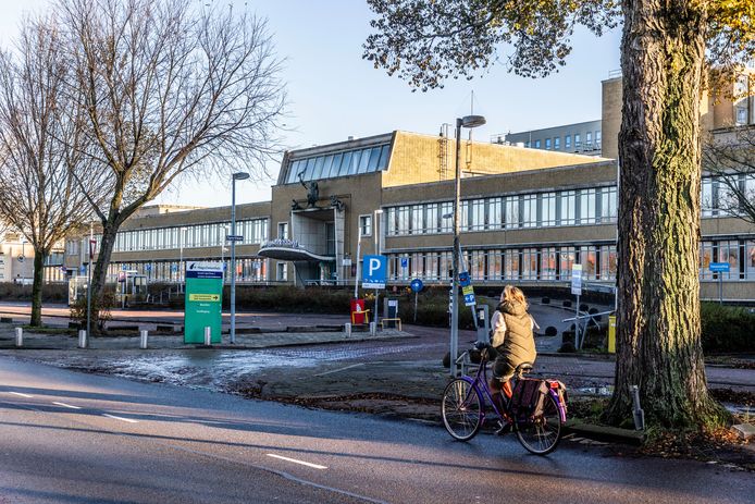 Den Haag slaat grote slag: 400 asielzoekers en statushouders krijgen ...