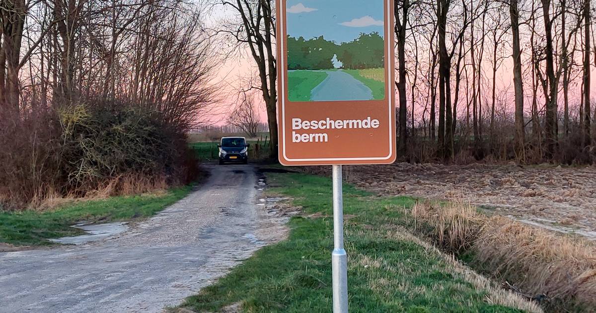 Wat doe je tegen al die rotzooi in de berm? Waalwijk kiest voor ...