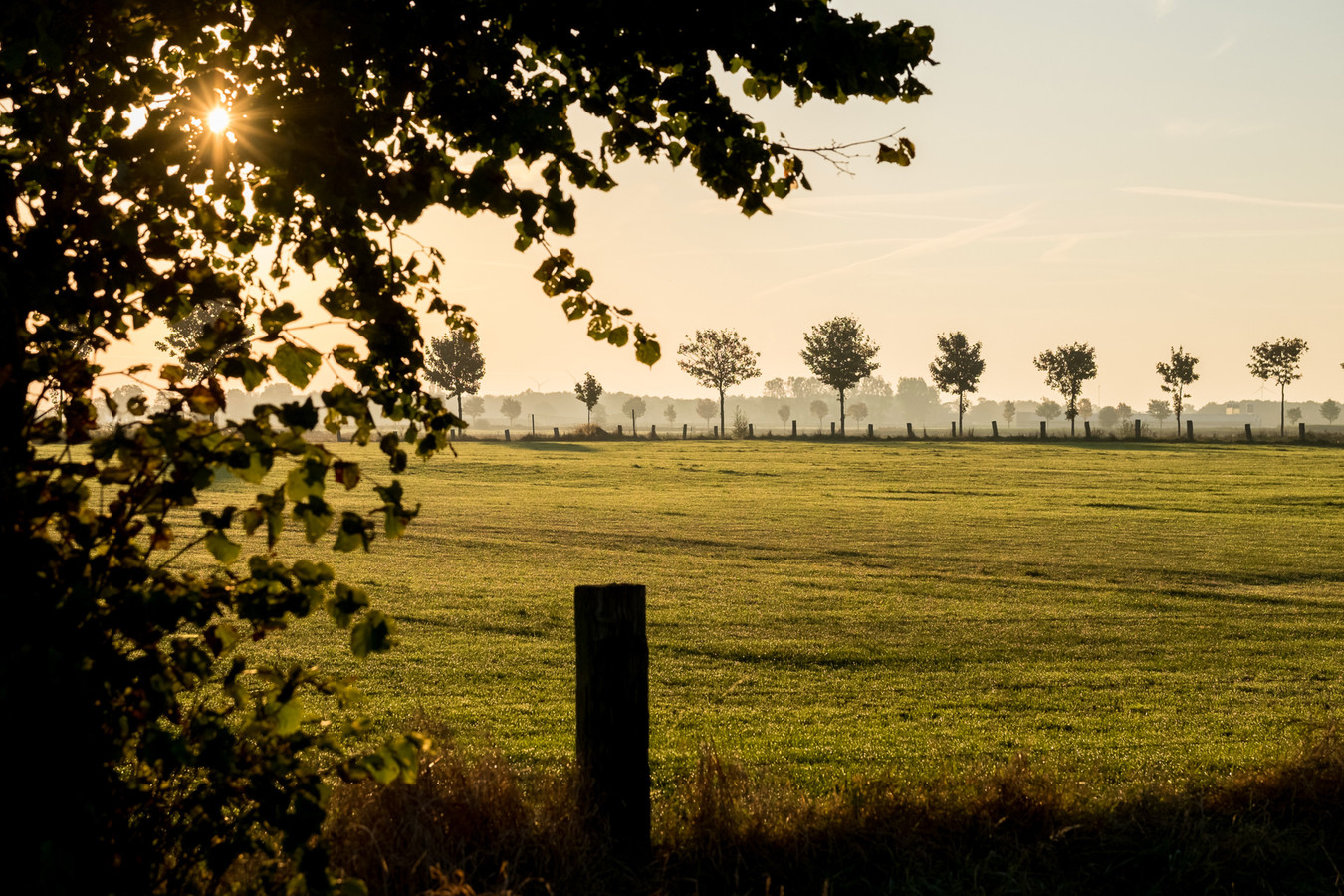 Toerisme Wuustwezel bundelt herfstwandelingen in gloednieuwe brochure ...