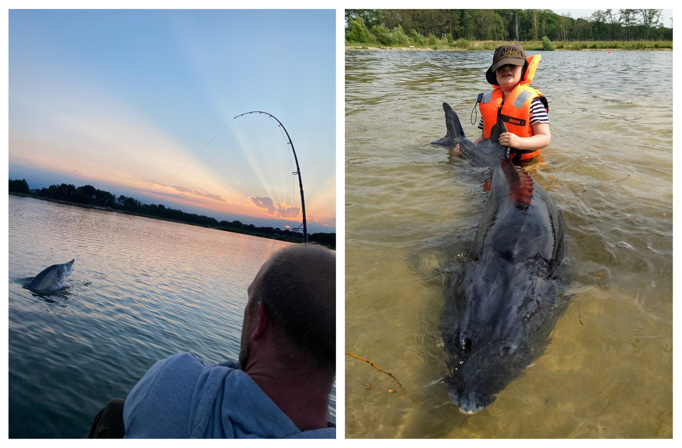 Op jacht naar monstervis in ‘propvol’ water in Enschede: ‘Soms gevecht ...