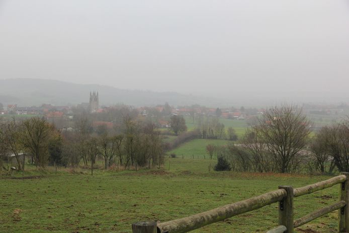 Spechten spotten in het bos: maak een wandeling op de Rodeberg in het ...