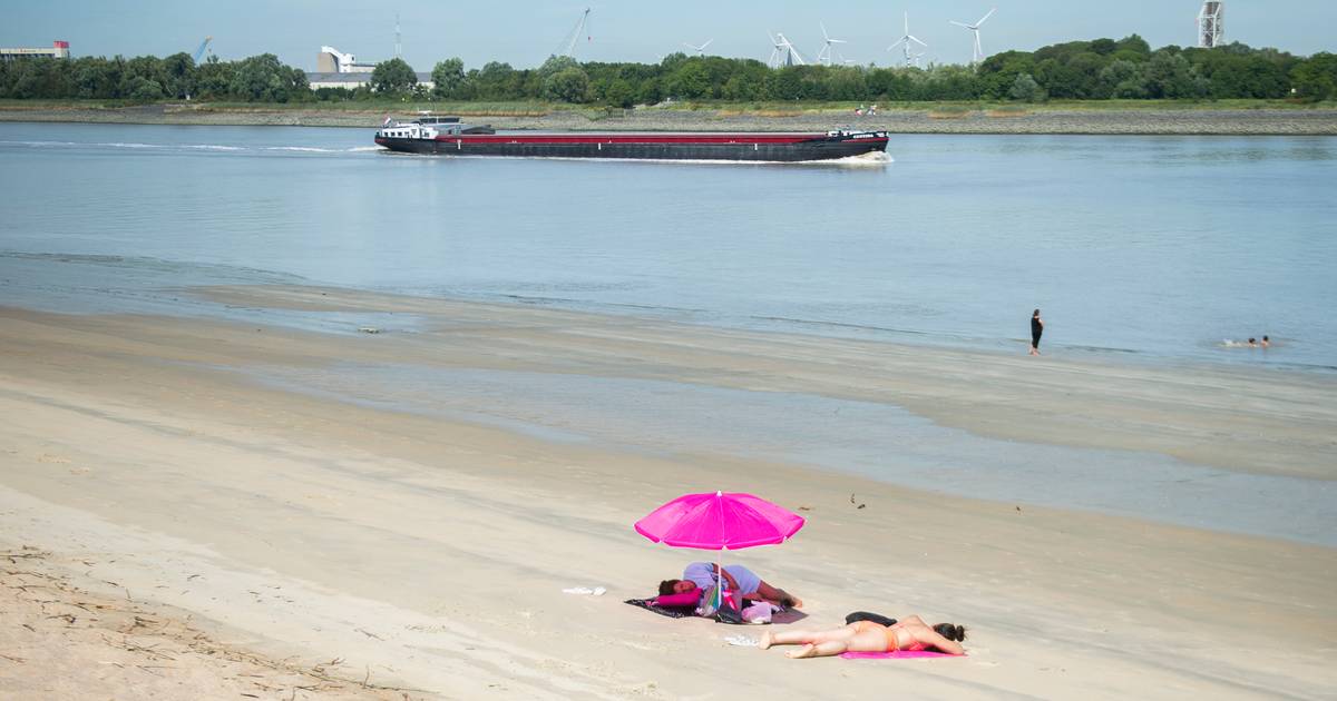 Sint-Anneke Plage krijgt serieuze upgrade in 2021: 70 bomen en nieuw ...