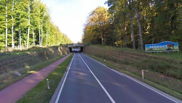 Meer dan tweehonderd diersoorten gebruiken ecoduct 'De Warande ...