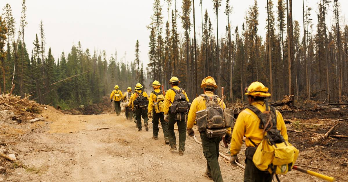 Derde brandweerman omgekomen bij bosbranden in Canada | Buitenland | hln.be