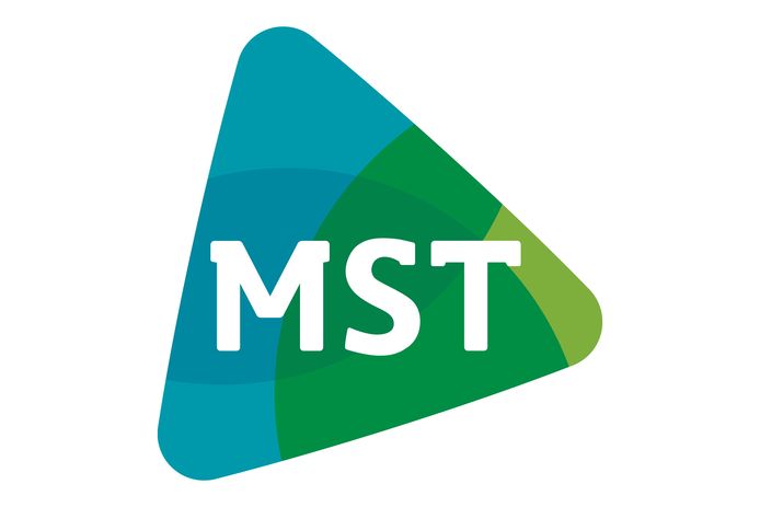 Nieuw logo MST: zoek de verschillen | Enschede | tubantia.nl