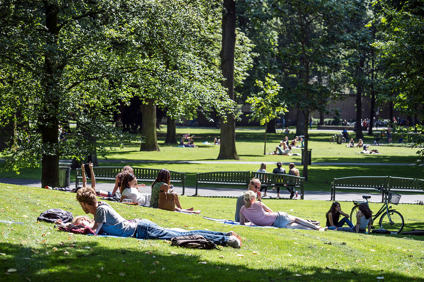 Chinees paviljoen te hoog voor Valkenberg in Breda: ‘Dit gaat ten koste ...